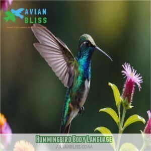 Why Do Hummingbirds Stare at You? Unbelievable Reasons Revealed Inside!