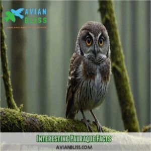 Common Pauraque: Unraveling the Nocturnal Secrets of This Elusive Bird