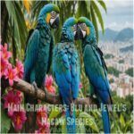 Rio Movie Birds: Extinct Macaws Come Alive on Screen - See Their Story!