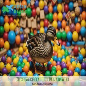 Are Ducks Smart? 5 Surprising Facts About Their Intelligence Revealed
