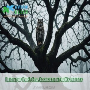 Why Are Owls Associated With Evil? The Dark Truth Behind These ...