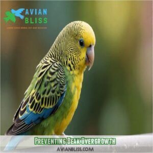 Fix Budgie Beak Overgrown Issues Fast: Causes, Symptoms & Pro Trimming Tips