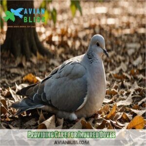 Dove Sitting on Ground Not Moving: 7 Shocking Reasons Why & How to Help