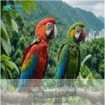 Rio Movie Birds: Extinct Macaws Come Alive on Screen - See Their Story!