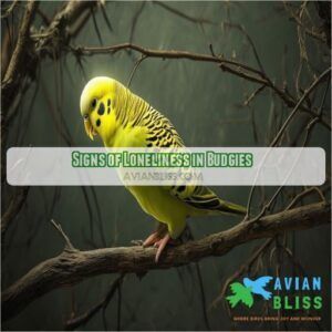 Signs of a Lonely Budgie: 10 Ways to Tell if Your Budgie Needs Company