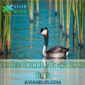 Birds That Can Swim and Fly: Nature's Aerial and Aquatic Masters