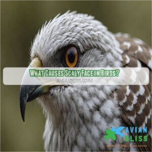 Scaly Face or Leg Mite Infection in Birds: Causes, Symptoms & Treatment