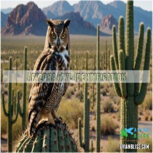 Owls in Arizona: Must-Know Species & Tips for Spotting Them