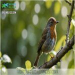 Baby Robin Guide: Appearance, Diet, Care & Fascinating Facts