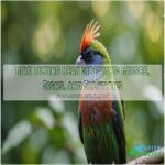 Bird Tilting Head Sideways: Causes, Signs, and Solutions