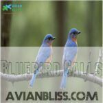 Eastern Bluebird Songs: Chirping Melodies That Captivate the Heart