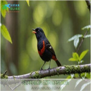 Nashville Warbler: Habitat, Migration, and Identification Guide