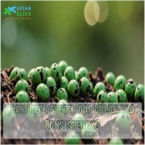 Why is My Birds Poop Green? Causes, Health Signs & Solutions