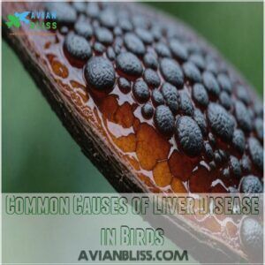 Liver Disease in Birds: 8 Shocking Facts Vets Don't Want You to Know