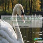 Female Swan Secrets: 10 Surprising Facts About Nature's Elegant Ladies