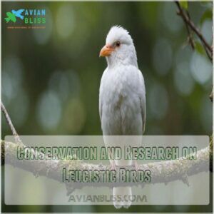 Bird Leucism: the Stunning Mystery Behind White-Patched Feathers