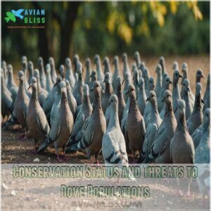 Types of Doves: 6 Beautiful Species You Need to Know (With Photos)