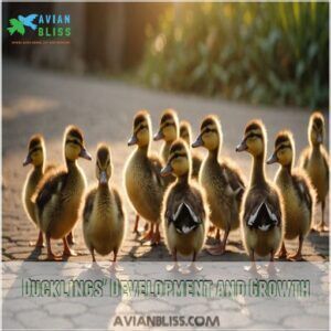 Why Do Ducklings Follow Their Mother? The Surprising Reason