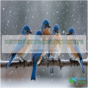 Eastern Bluebird Winter Secrets: Migration, Diet & Roosting Tips