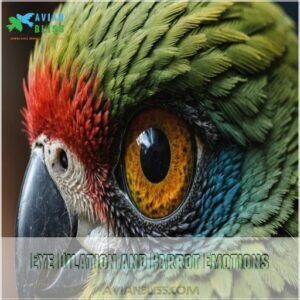 Why Do Parrots Eyes Dilate? Understanding Their Body Language