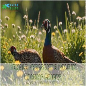 Female Pheasant Secrets: 10 Surprising Facts You Never Knew (7 Shocks!)