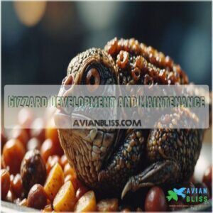 The Surprising Role of a Bird's Gizzard in Digestion