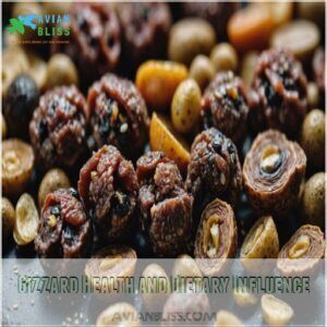 The Surprising Role of a Bird's Gizzard in Digestion