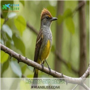 White Ibis: Fascinating Habits, Lifespan, and Habitat Facts