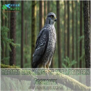 Northern Goshawk Guide: Habitat, Hunting, Conservation & More