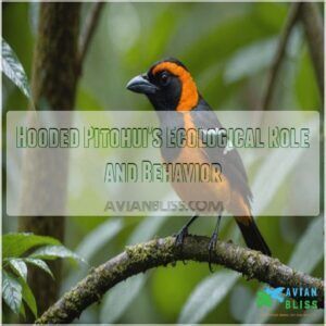 Hooded Pitohui: Deadly Beauty of New Guinea's Toxic Bird Revealed