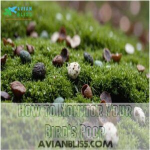 Why is My Birds Poop Green? Causes, Health Signs & Solutions