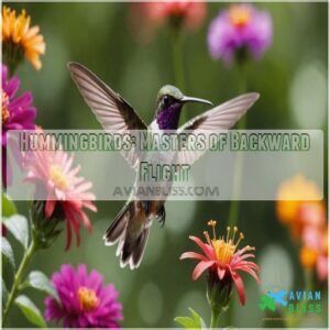 Bird Fly Backwards: Nature's Aerial Acrobats Defy Gravity!
