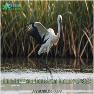 Broad-Winged Hawk: 7 Mind-Blowing Facts About This Sky Predator