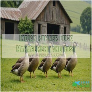 Indian Runner Ducks: Comprehensive Guide to Care & Breeding