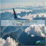 Birds on Planes: Essential Tips for Safe and Stress-Free Travel