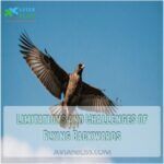 Bird Fly Backwards: Nature's Aerial Acrobats Defy Gravity!