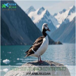 Long-tailed Duck: Stunning Facts, Habits, and Conservation Insights