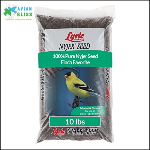 Bird Seed for Wild Birds: 18 Best Types to Attract Backyard Birds