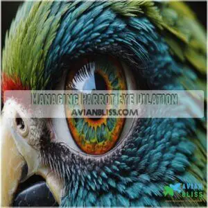 Why Do Parrots Eyes Dilate? Understanding Their Body Language