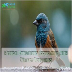 Why is My Birds Poop Watery? 7 Surprising Causes & Quick Solutions