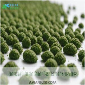 Why is My Birds Poop Green? Causes, Health Signs & Solutions