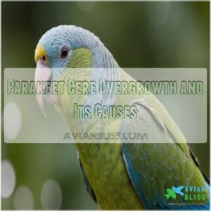 Parakeet Cere Problems: Causes, Symptoms & Solutions