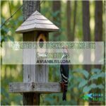 Truth About Pileated Woodpecker Nesting Boxes: What You Need to Know