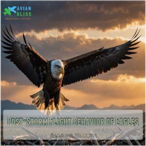 How Do Eagles Fly in a Storm? Soaring Masters of Turbulent Skies Revealed!