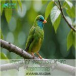 Bird Constipation Treatment: 10 Quick Fixes for Your Feathered Friend