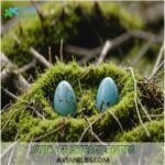 Baby Robin Guide: Appearance, Diet, Care & Fascinating Facts