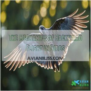 Bird Fly Backwards: Nature's Aerial Acrobats Defy Gravity!
