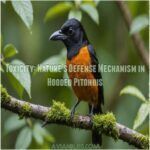 Hooded Pitohui: Deadly Beauty of New Guinea's Toxic Bird Revealed