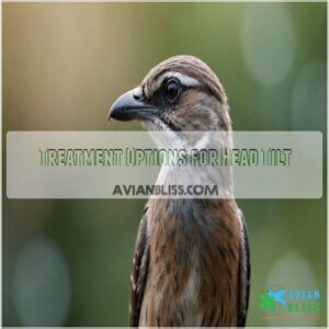 Bird Tilting Head Sideways: Causes, Signs, and Solutions