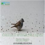 Why is My Birds Poop Watery? 7 Surprising Causes & Quick Solutions